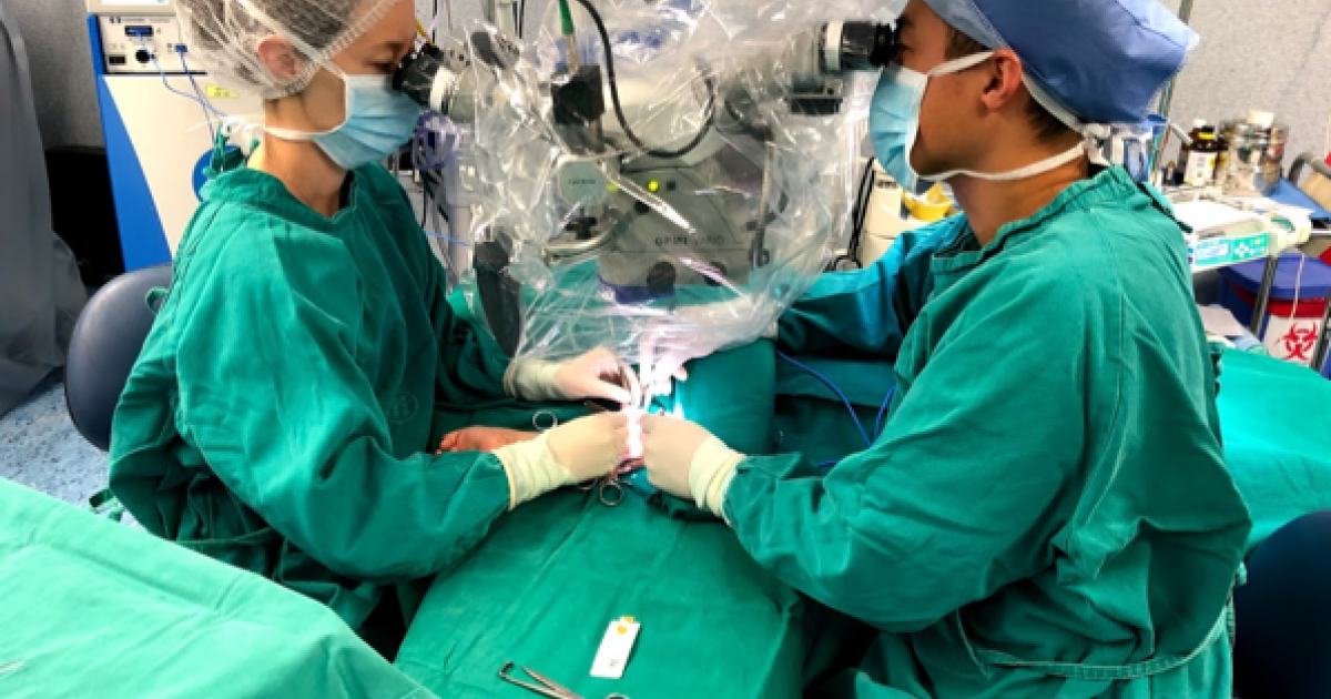 Hand and Upper Extremity | Department of Orthopaedic Surgery and ...